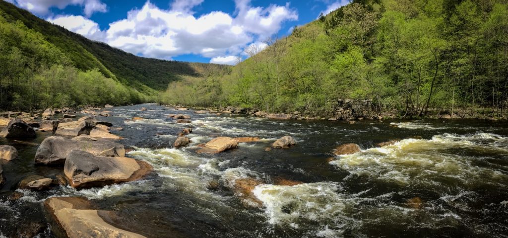Lehigh River Stocking Association - Catch Us On The Lehigh